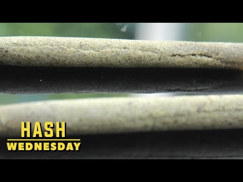 Pure Hash Joint Wednesday